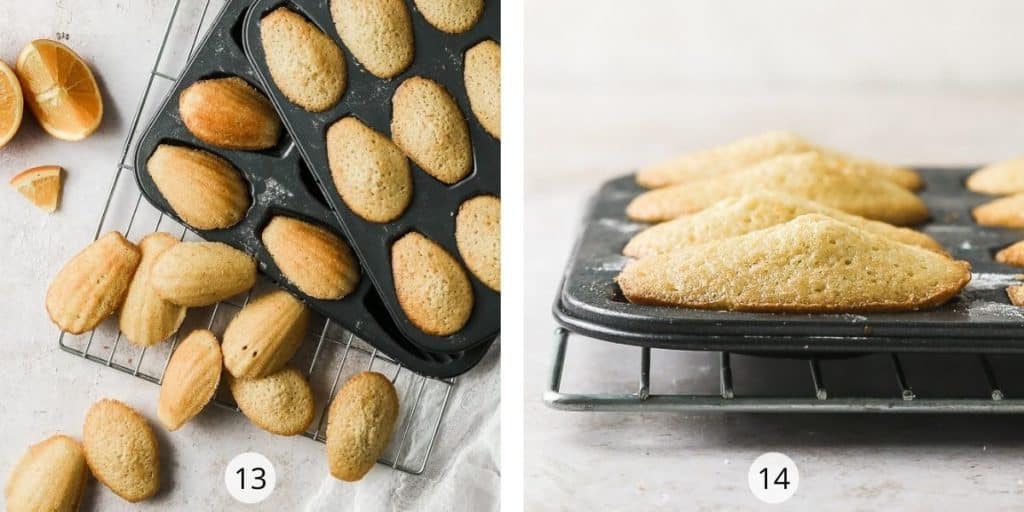 Orange Madeleines (Step by Step) - Emma Duckworth Bakes