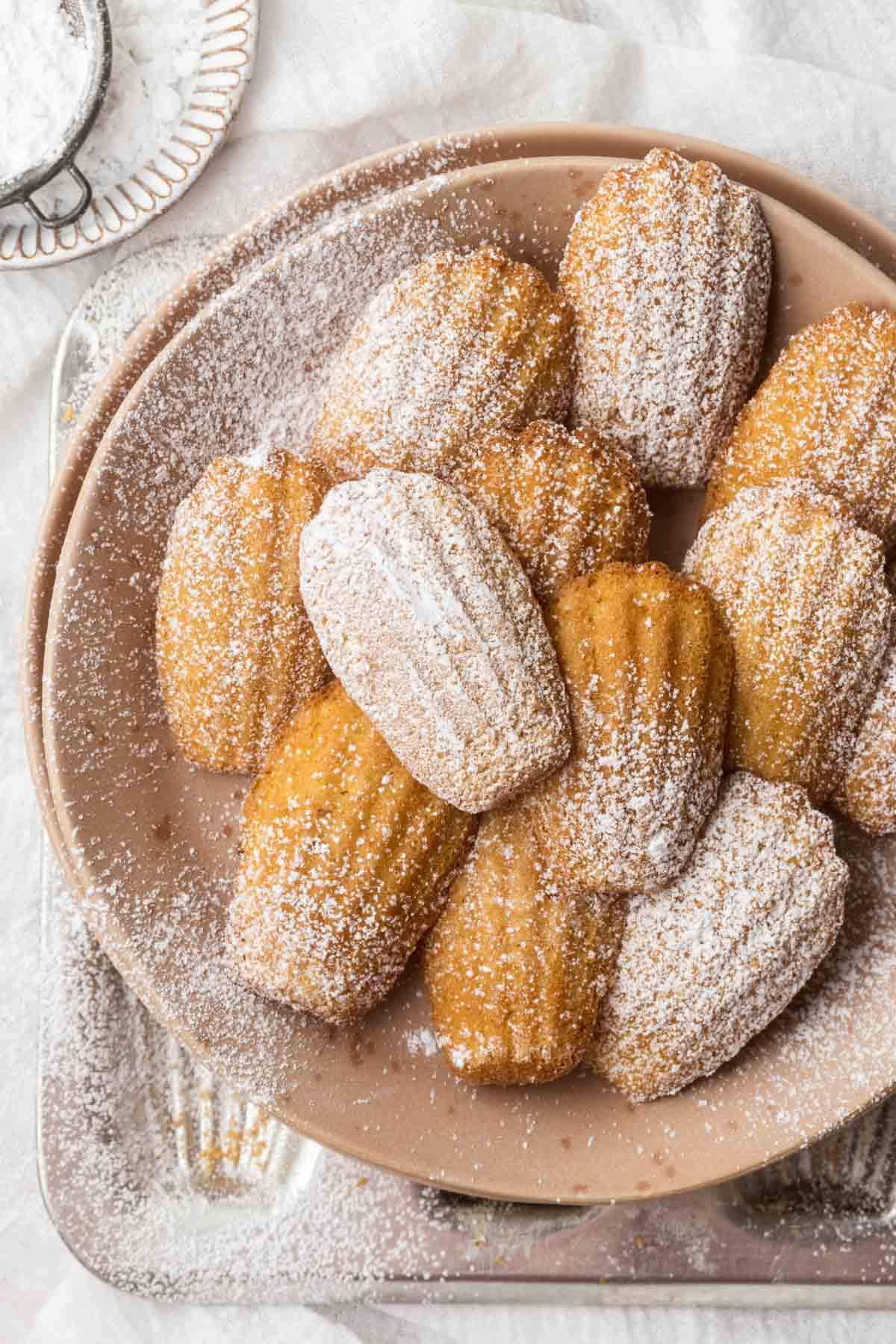 Classic French Madeleines (step by step) | Emma Duckworth Bakes
