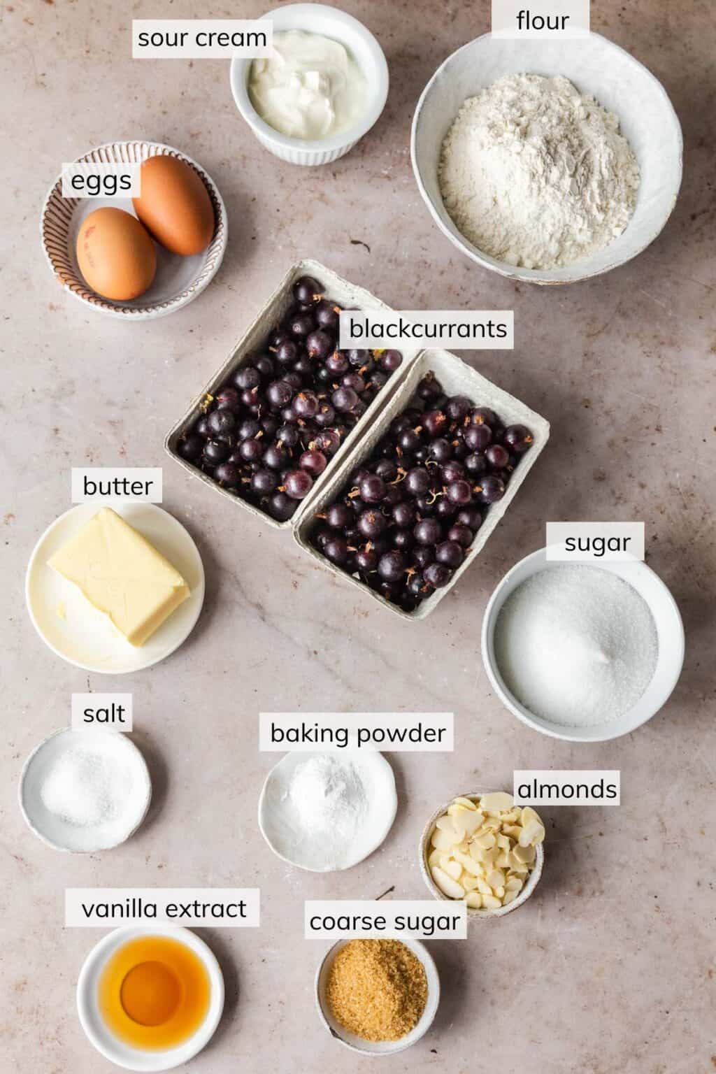 Easy Blackcurrant Cake | Emma Duckworth Bakes